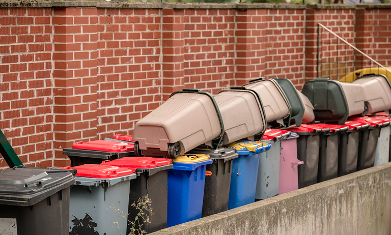 Confira três passos para descartar corretamente o seu lixo - Viva o ...